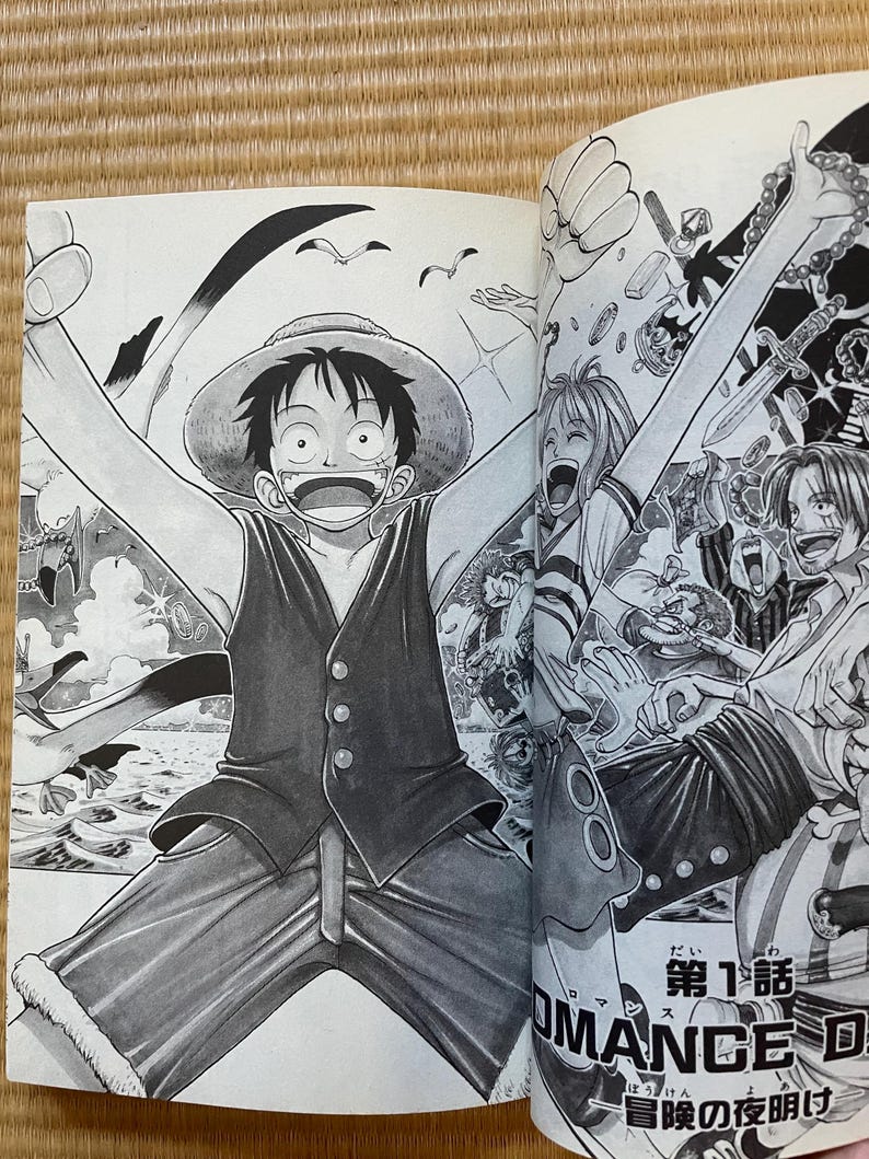 One Piece Volume 1 Manga | Japanese Edition | Used Comic Book ...