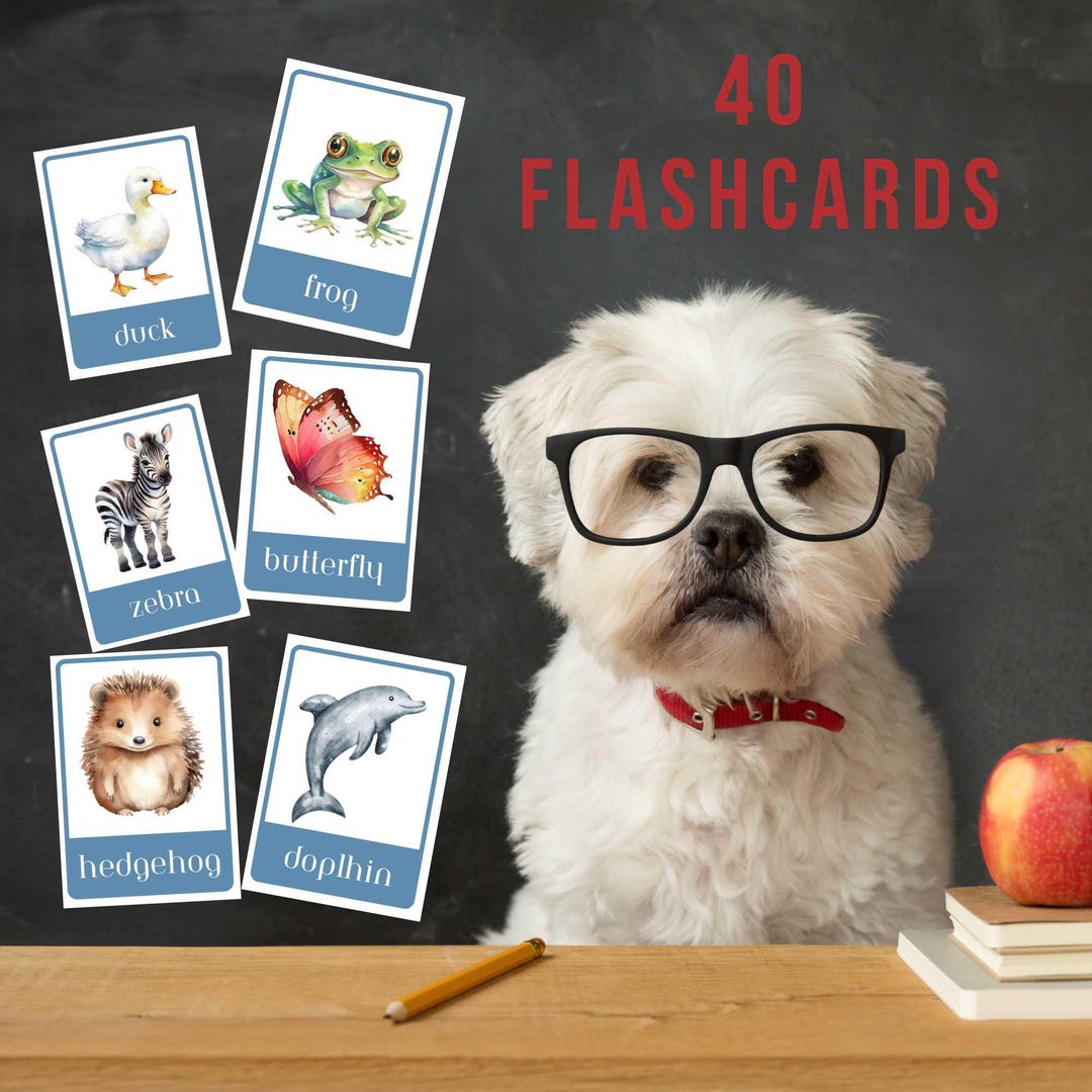 Animals Flashcards, 40 Animals Flashcards for Kids, Homeschooling ...
