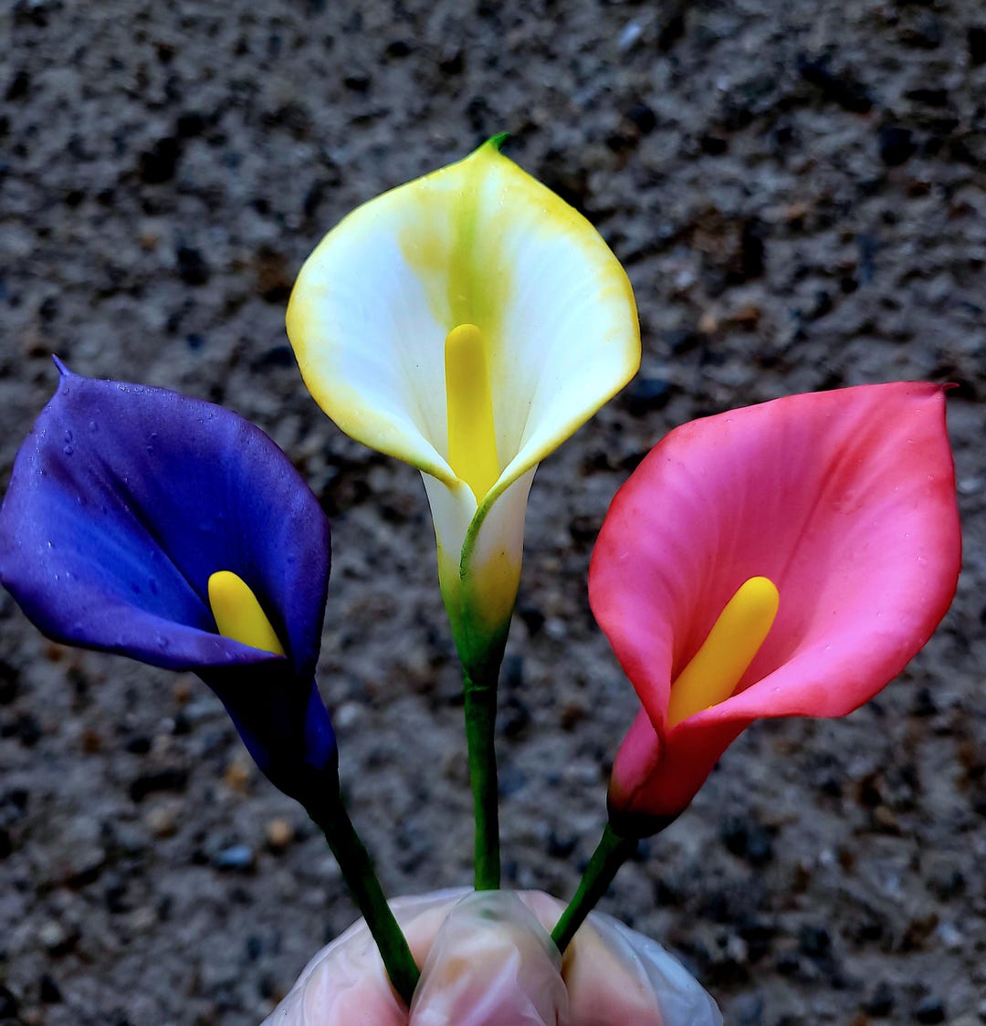 Sugar Flowers Calla Lily, Wedding/ Anniversary/ Birthdays Cake Toppers ...