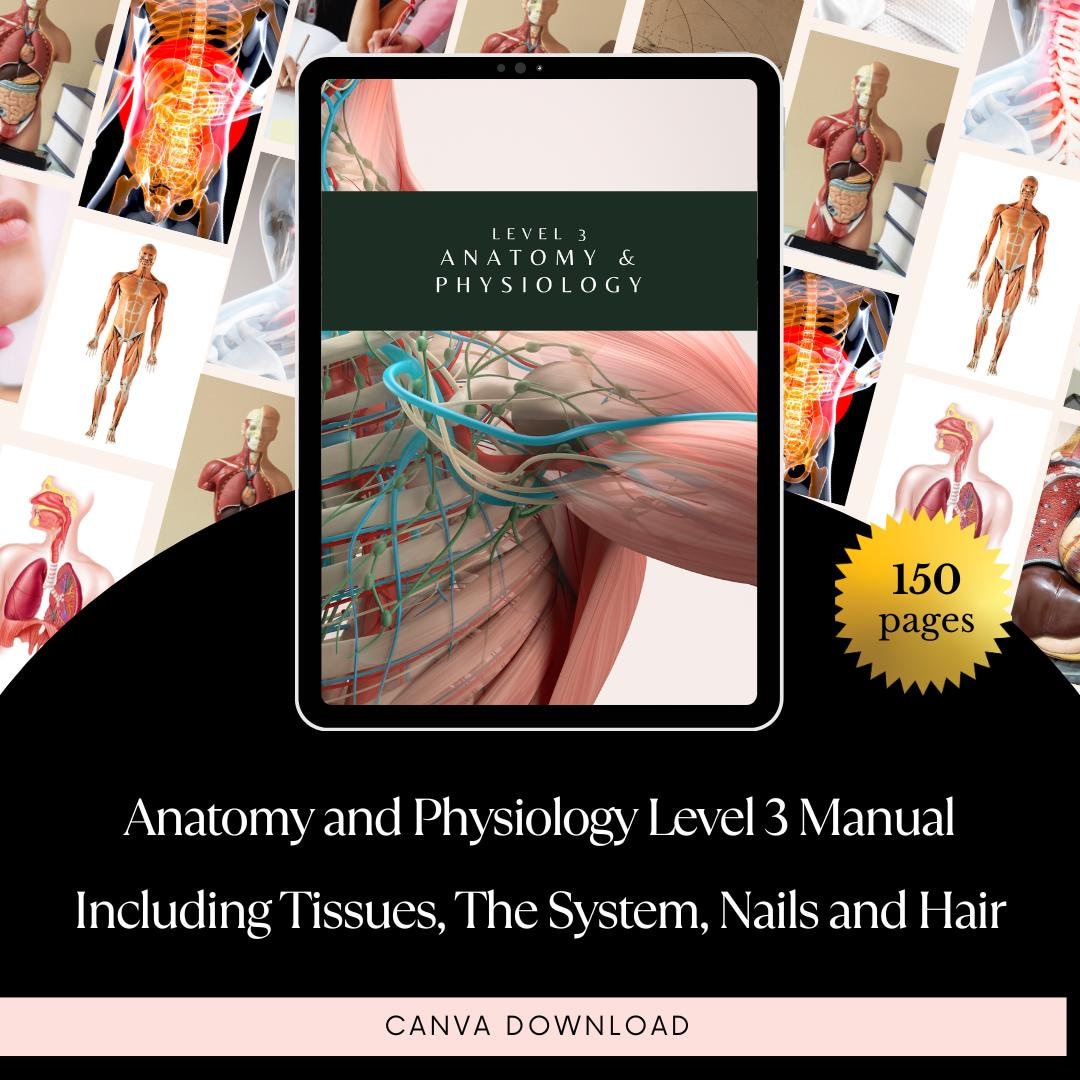 Anatomy and Physiology Level 3 Manual Digital Download Canva, Editable ...