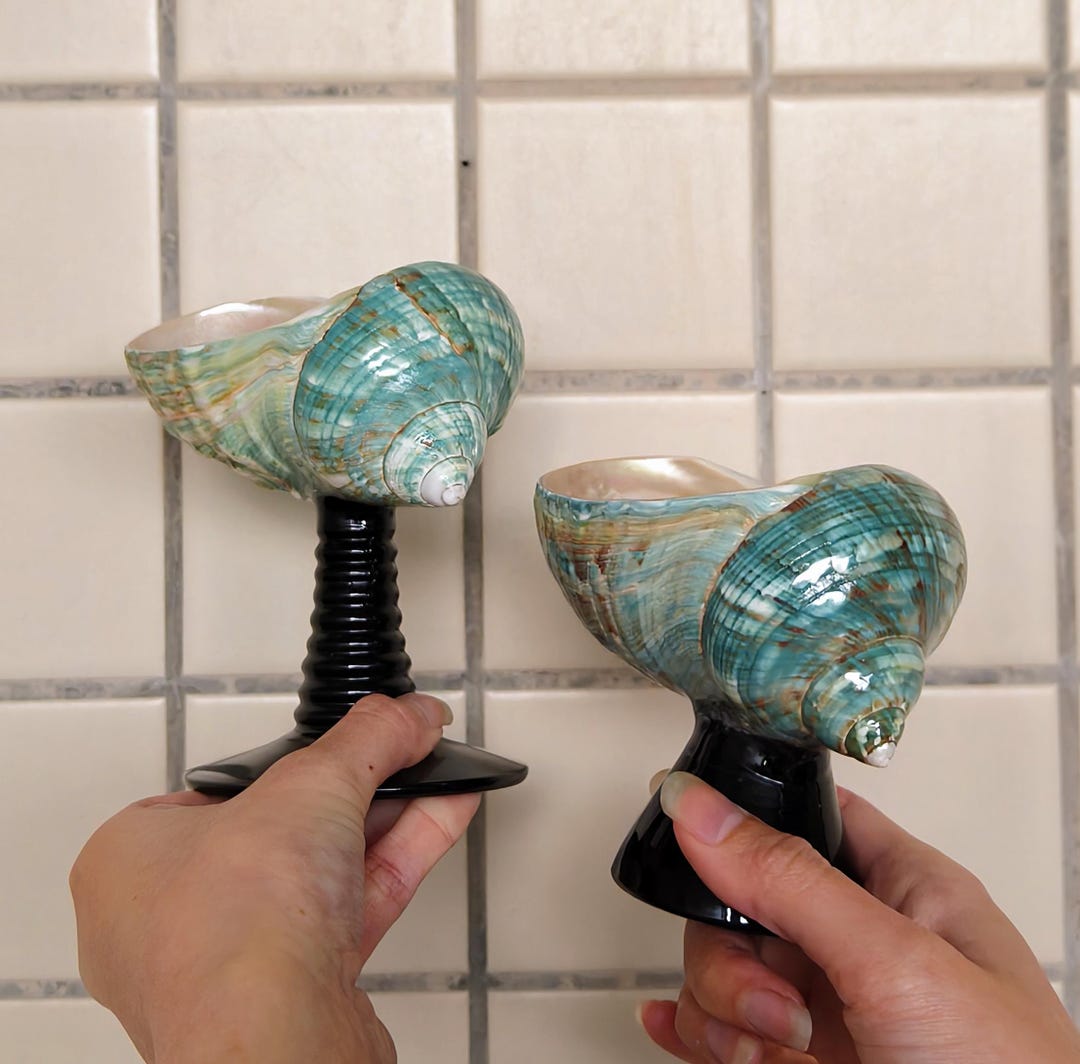 Beach Wedding Gift, Natural Conch Cup, Unique Conch Black Base Cup ...