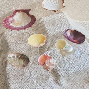 Seashell Wine Glasses, Shell Martini Glasses, Wedding Bridesmaid Gift ...