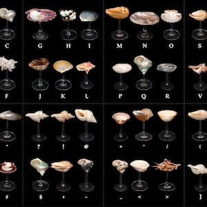 Seashell Wine Glasses, Shell Martini Glasses, Wedding Bridesmaid Gift ...