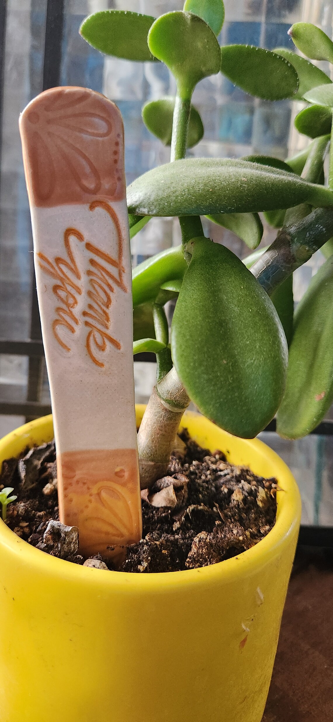 Plant Talk Markers - Etsy