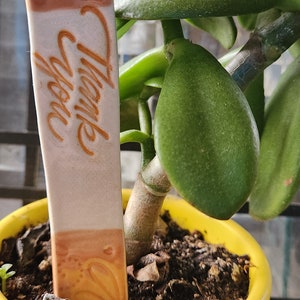 Plant Talk Markers - Etsy