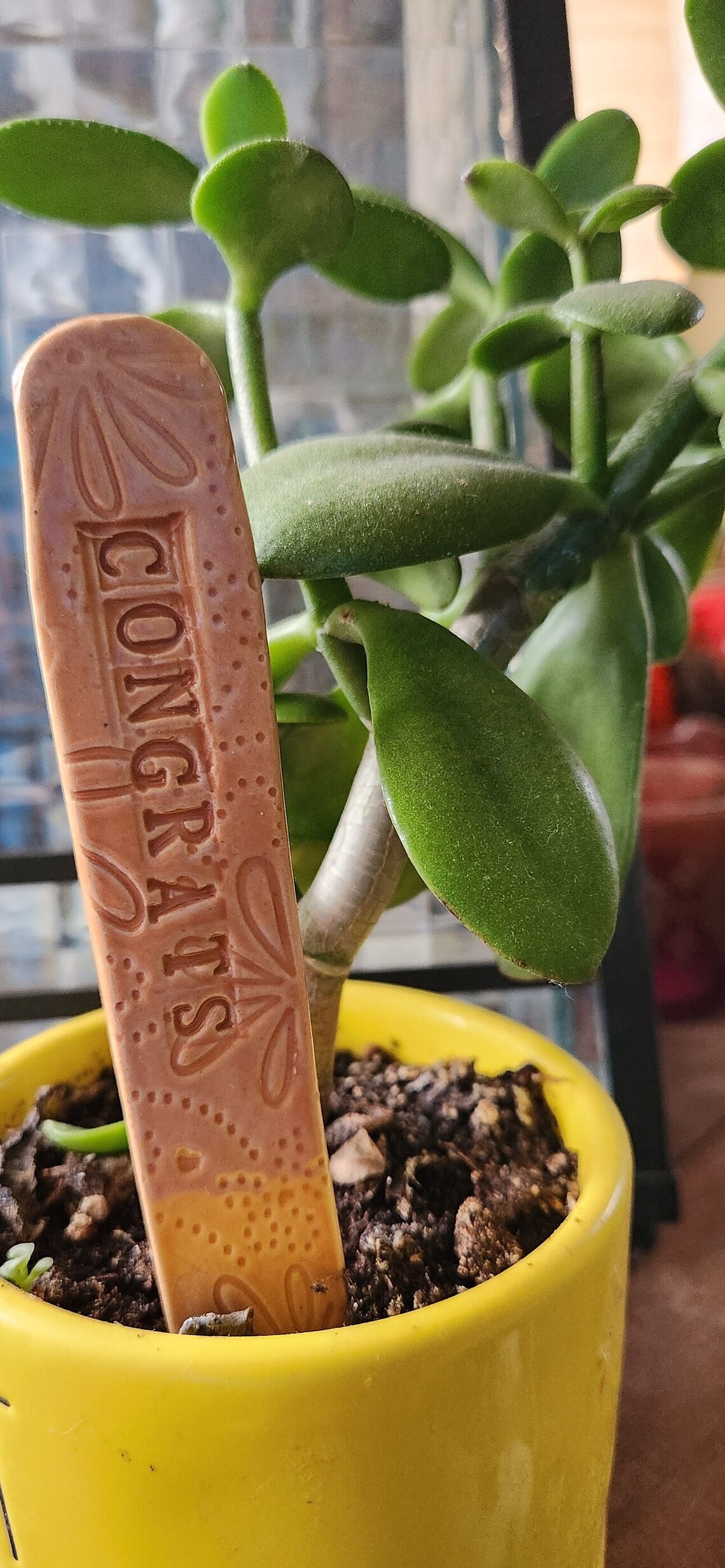 Plant Talk Markers - Etsy