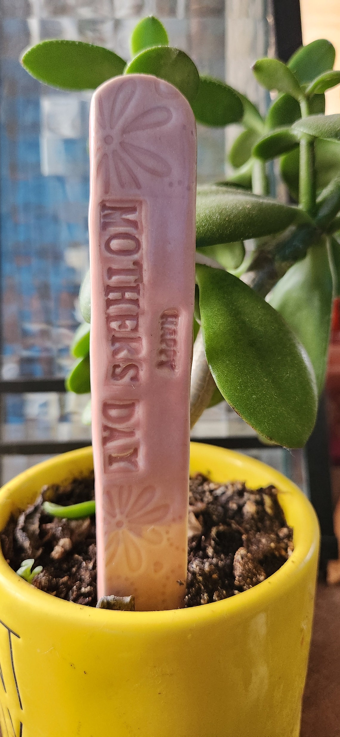 Plant Talk Markers - Etsy