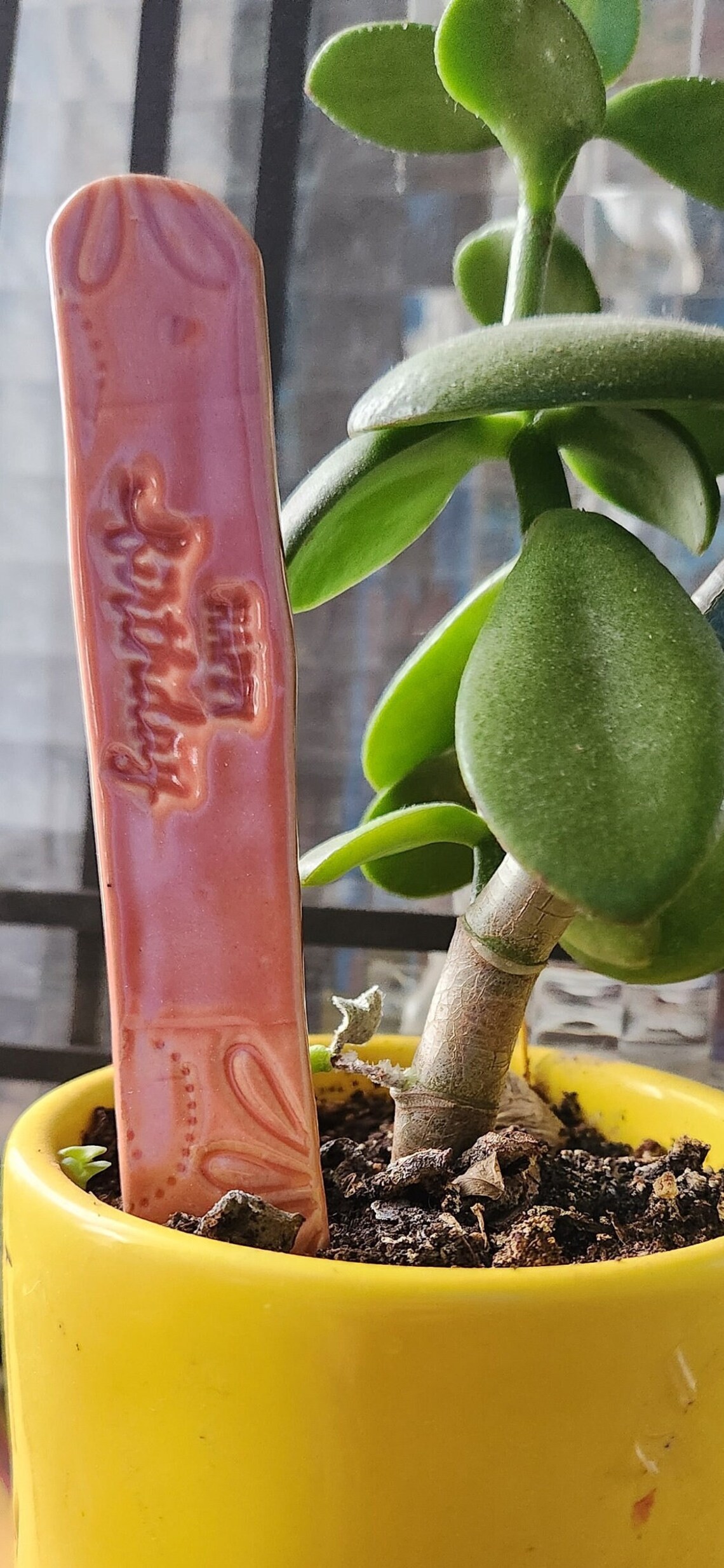 Plant Talk Markers - Etsy