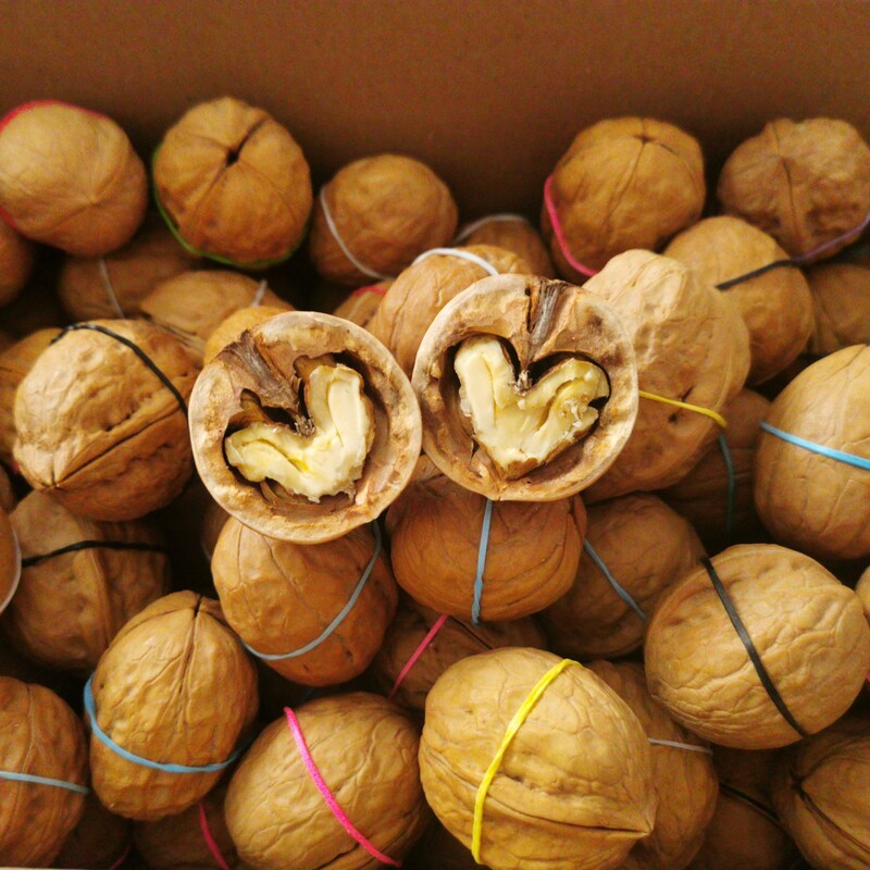 Walnut Shells - Etsy