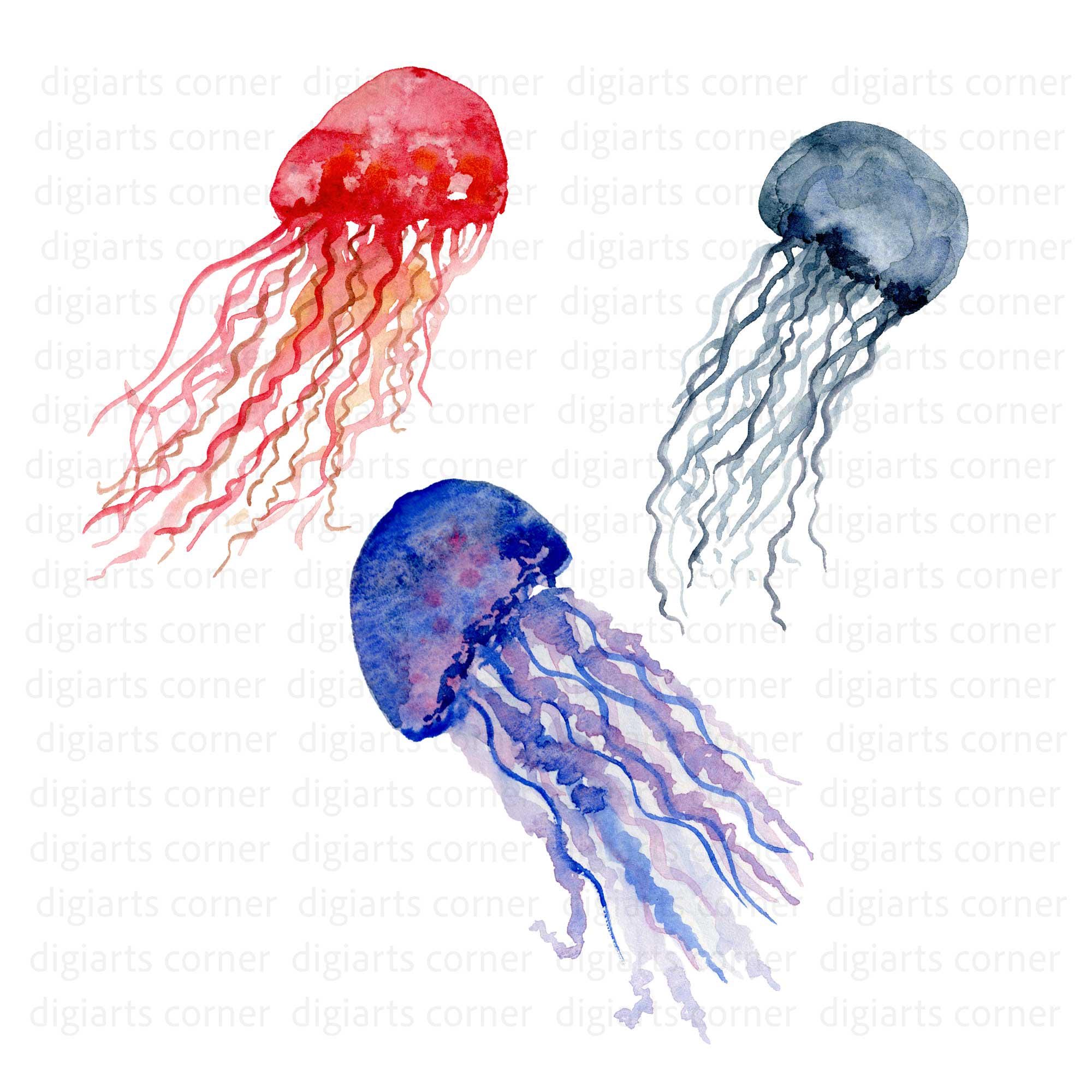 Watercolor Jellyfish Clipart: Colorful Sea Creatures PNG (digital ...