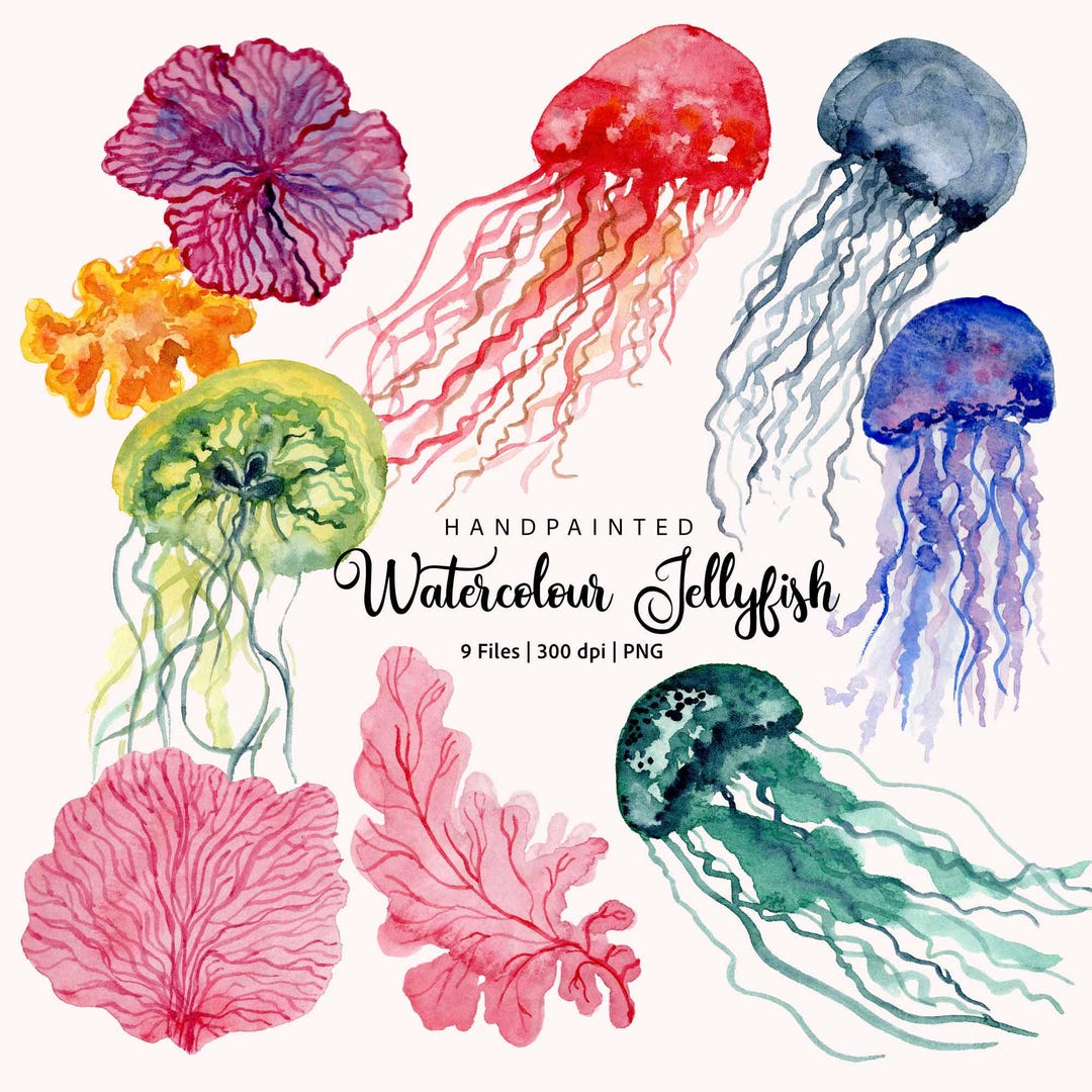 Watercolor Jellyfish Clipart, Colourful Jellyfish PNG File, Coral PNG ...
