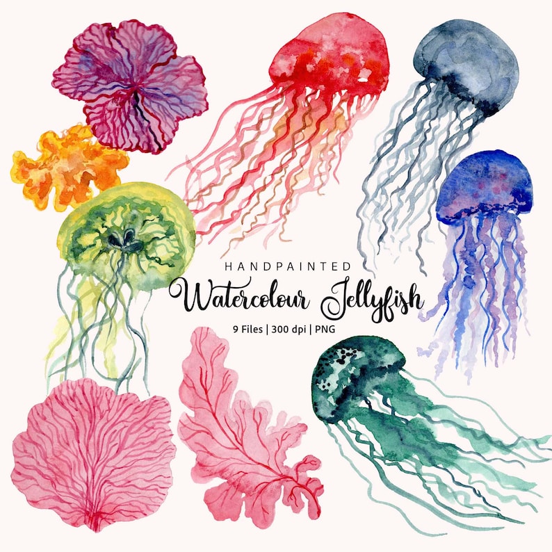 Watercolor Jellyfish Clipart, Colourful Jellyfish PNG File, Coral PNG ...