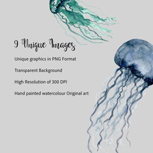 Watercolor Jellyfish Clipart: Colorful Sea Creatures PNG (digital ...