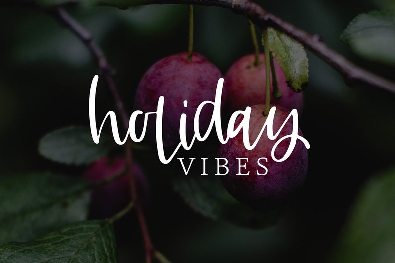 CANDIED PLUM / Whimsical Font / Script Font / Handlettered Font / OTSS ...