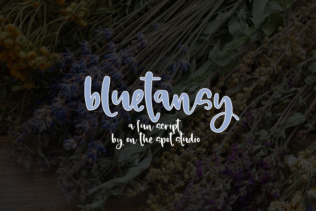 BLUE TANSY / whimsical font / script font / handlettered font / OTSS / bounce script ...