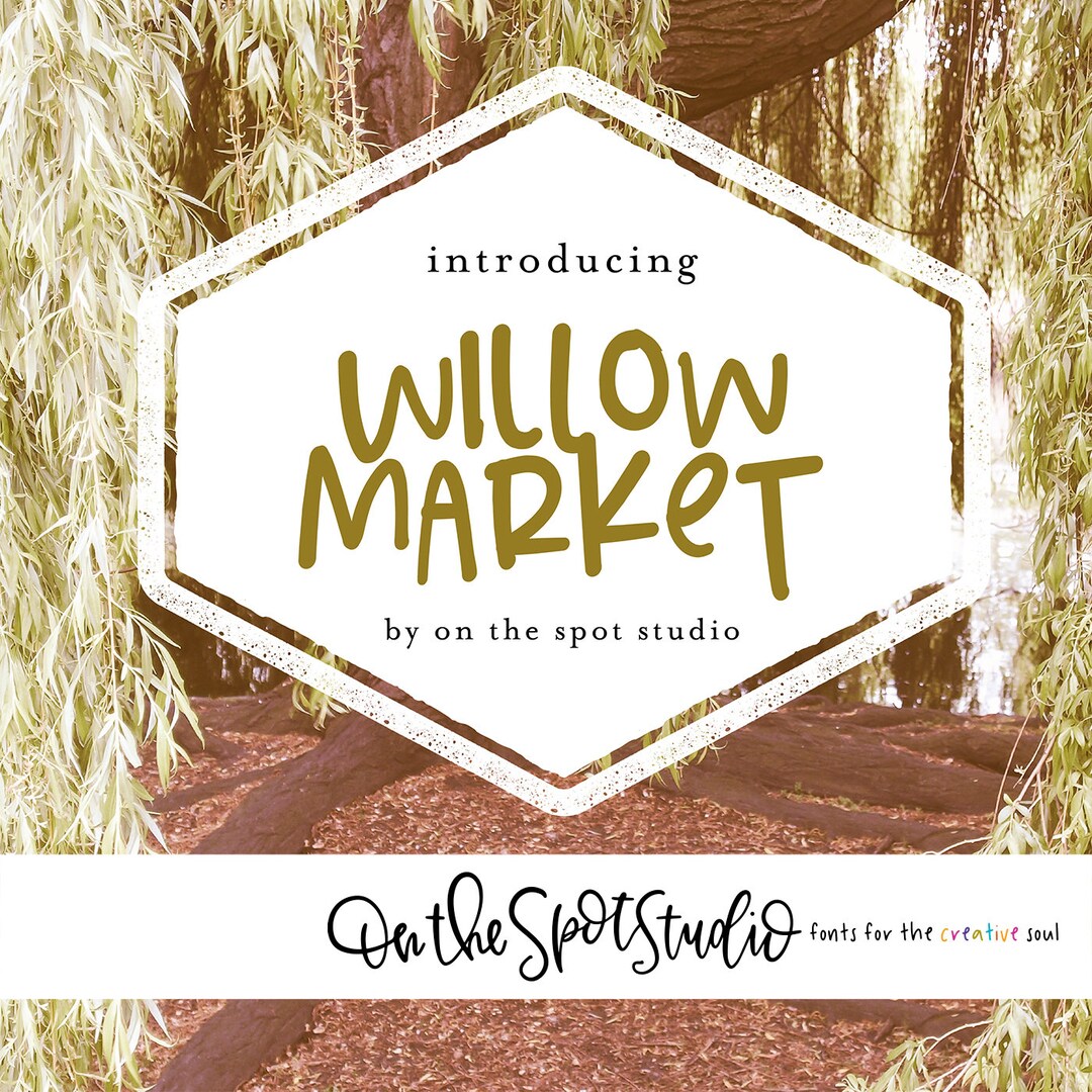 WILLOW MARKET / Font Duo / Script Font / Calligraphy Font ...