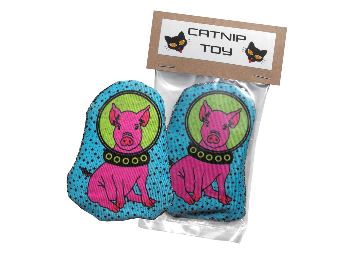 Catnip Toys Space Pig / Cat Toy / Cool Pig Gift / Catnip Kicker / Cute ...