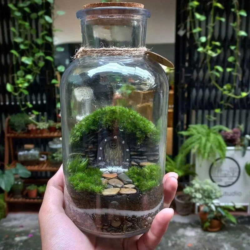 Terrarium Accessories - Etsy