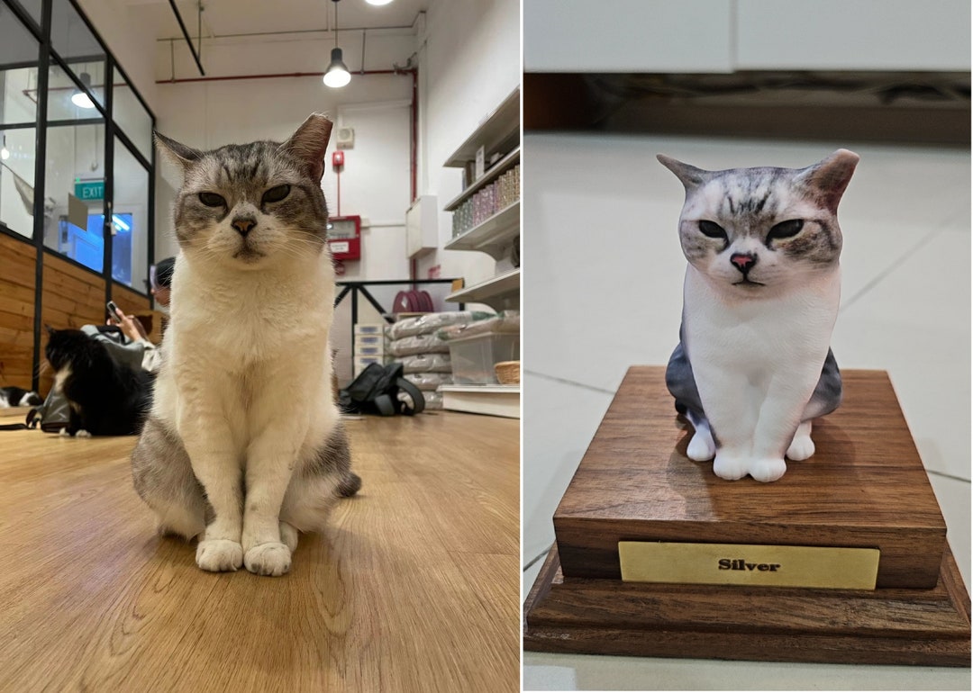 Custom 3D Pet Figures | Full-color Lifelike Masterpieces | Made From Your Single Photo - Etsy