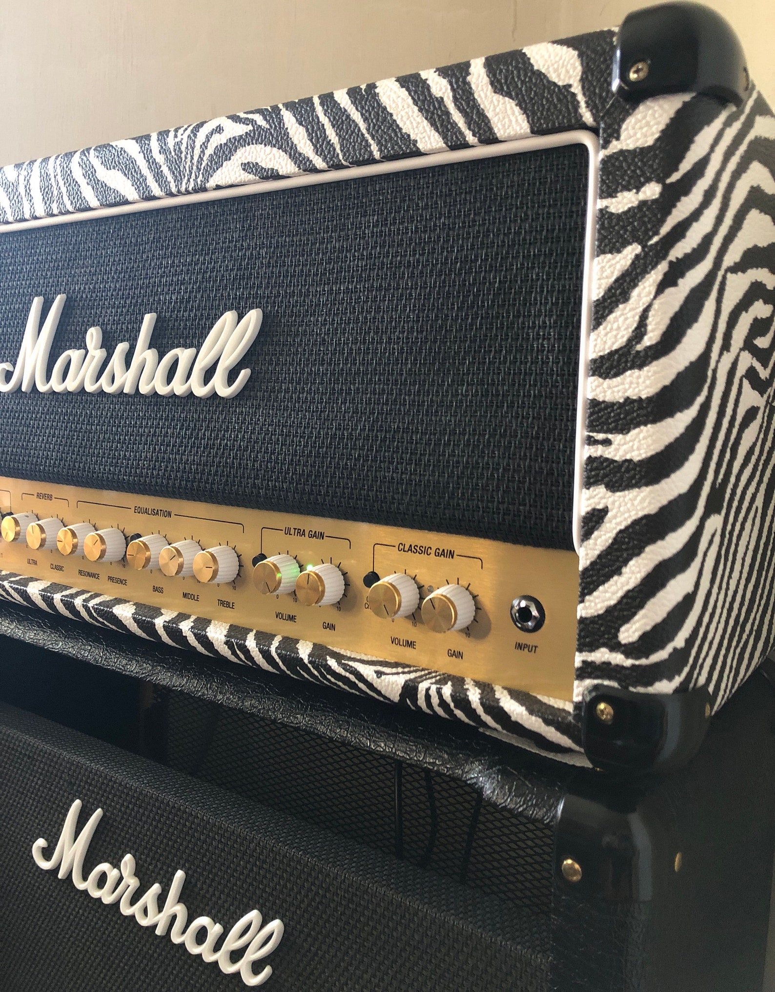 Combo to Head Convertion Faceplate(backplate) Set for Marshall DSL40CR ...
