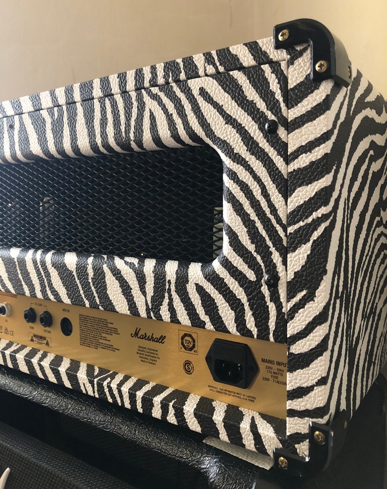Combo to Head Convertion Faceplate(backplate) Set for Marshall DSL40CR ...