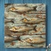 Distressed Weathered Fish Coastal Canvas Wall Art, Distressed Wood Wall ...