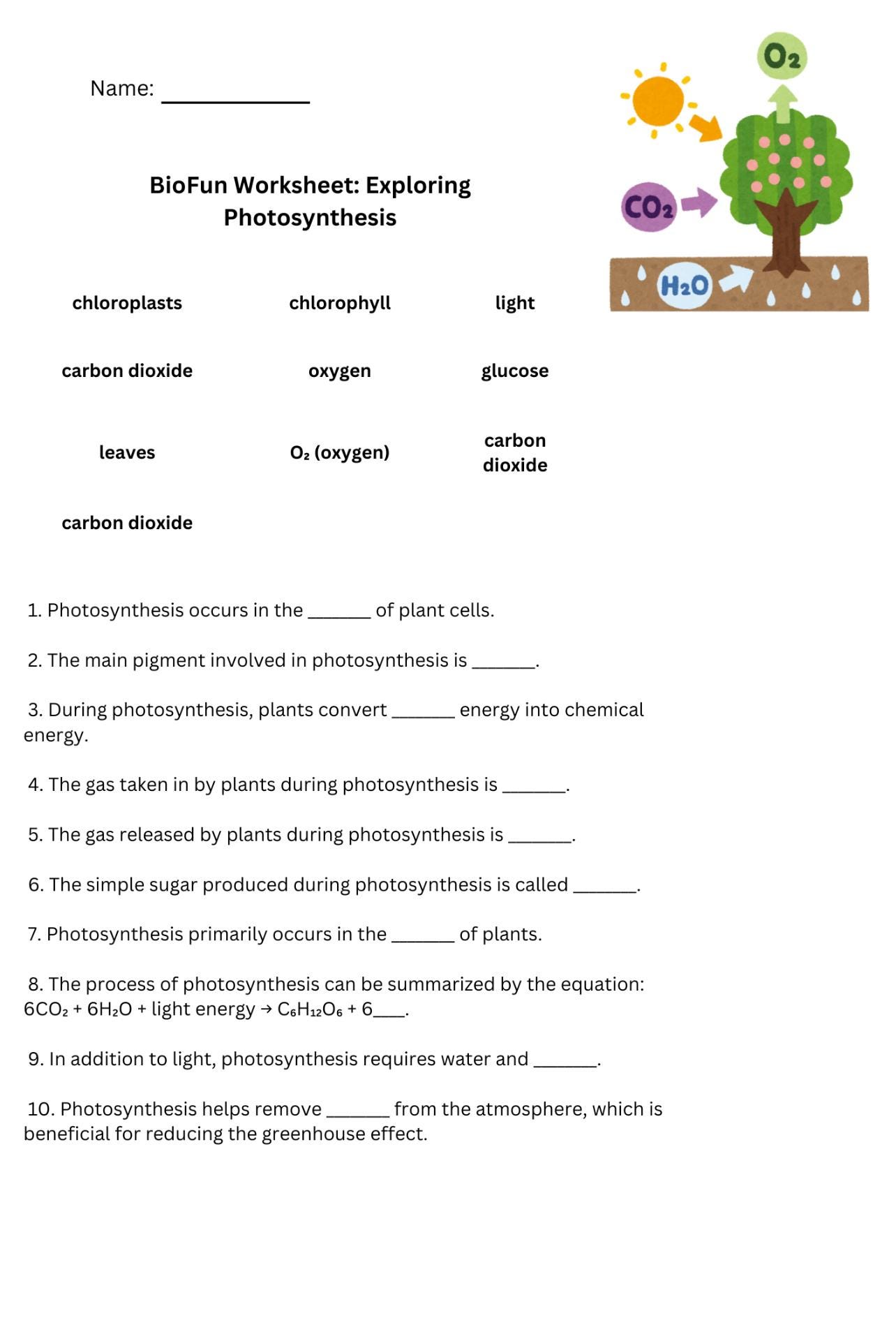 Photosynthesis Worksheet Photosynthesis And Cellular Respiration