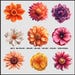 9 Flower Emotes Icons Ready to Use Flower Emotes, Colorful Emotes ...