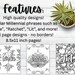 Millennial Slang Coloring Pages | Fun Coloring Pages for Teens and ...