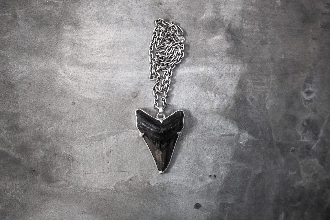 Prehistoric Genuine Megalodon Shark Tooth Fossil Set in a Sterling ...