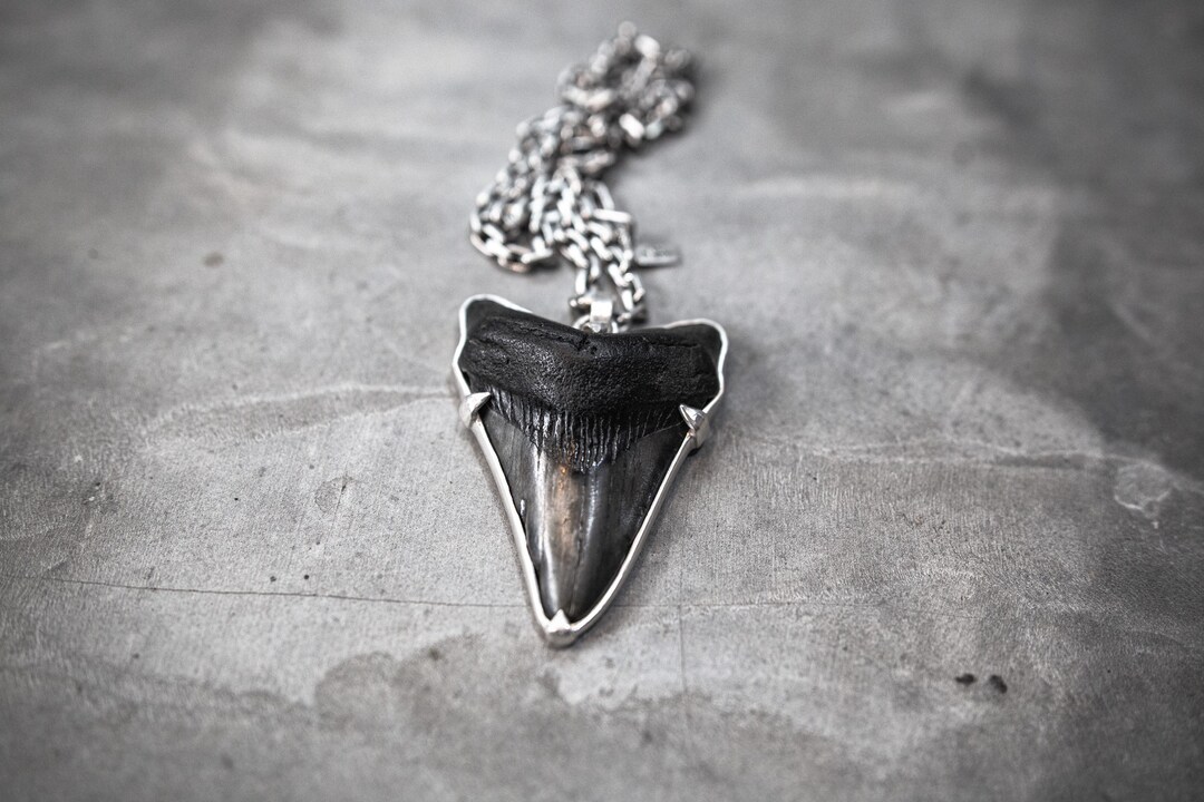 Prehistoric Genuine Megalodon Shark Tooth Fossil Set in a Sterling ...