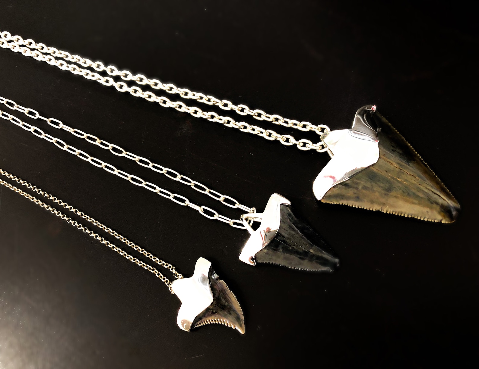 Megalodon Fossilized Shark Tooth on Solid Silver Chain | Etsy