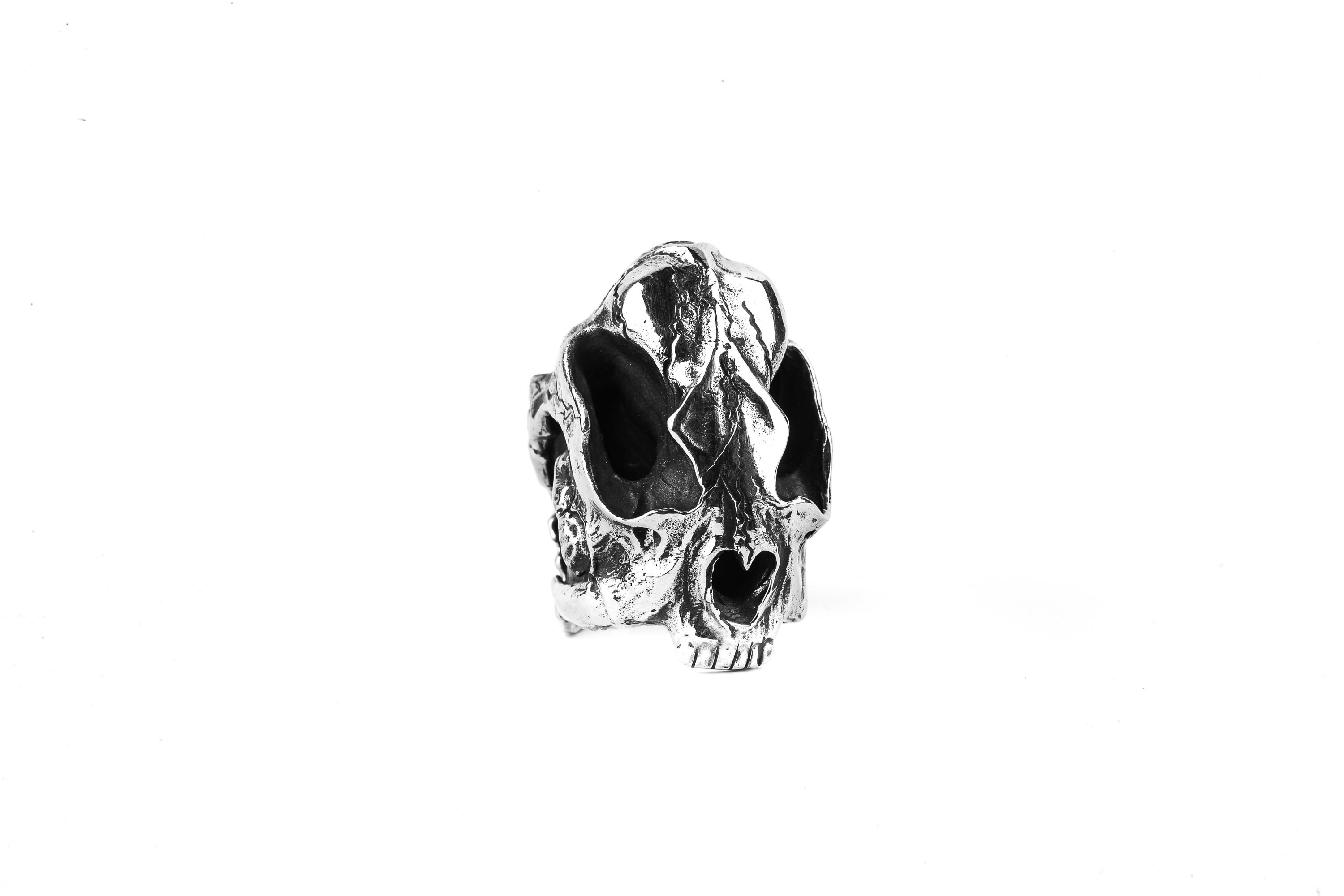 Saber Skull Unisex Statement Ring
