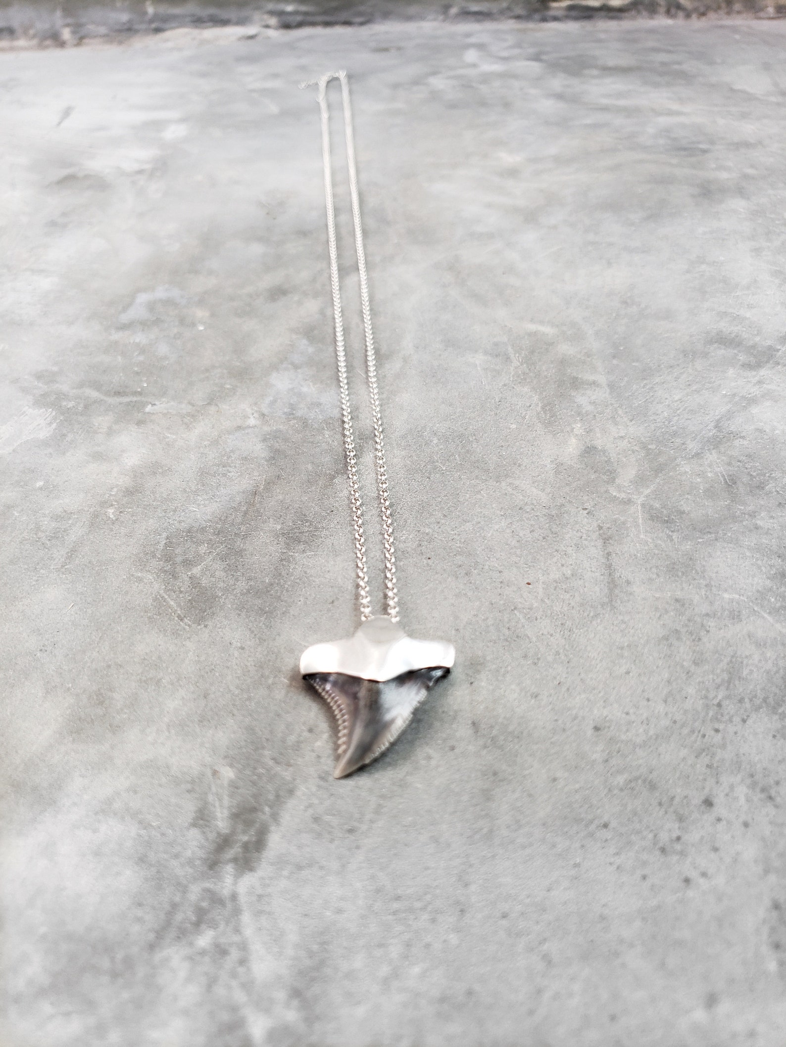 Megalodon Fossilized Shark Tooth on Solid Silver Chain | Etsy