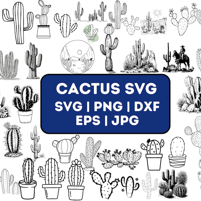 Cactus Svg - Etsy