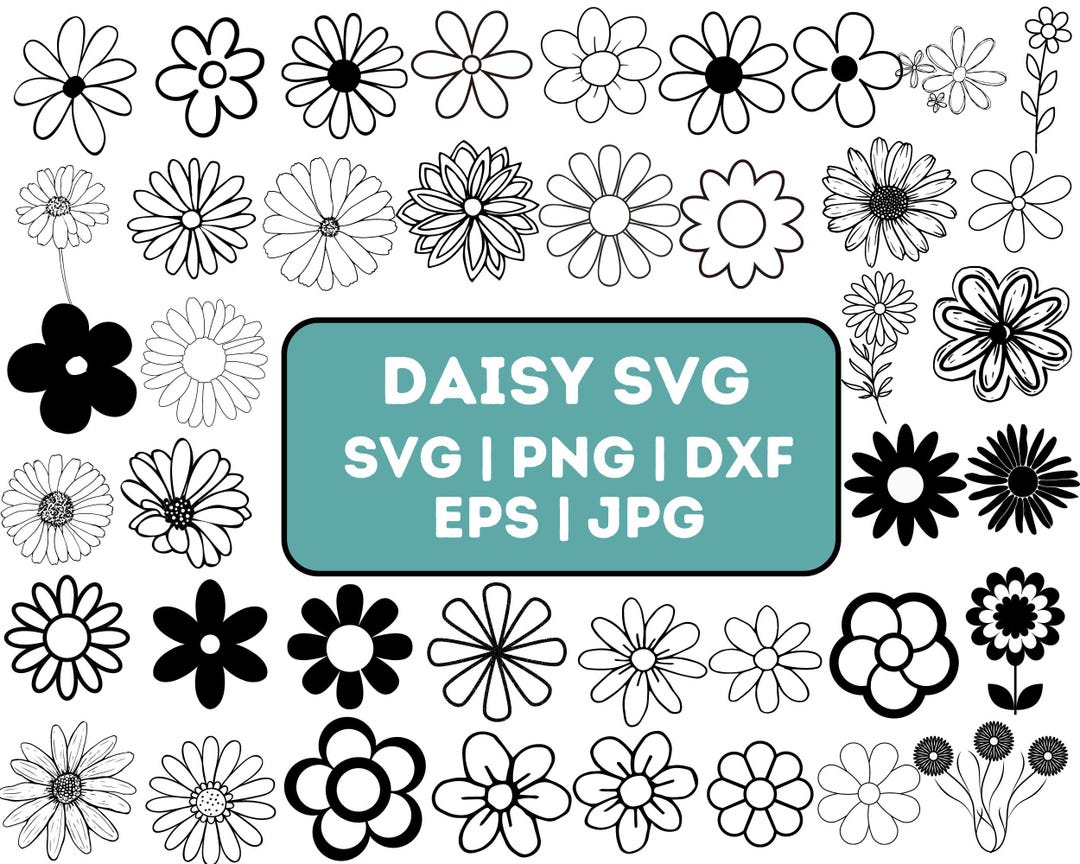 Daisy SVG Bundle, Daisy Flower Svg Designs for Cricut, Clipart Cut ...