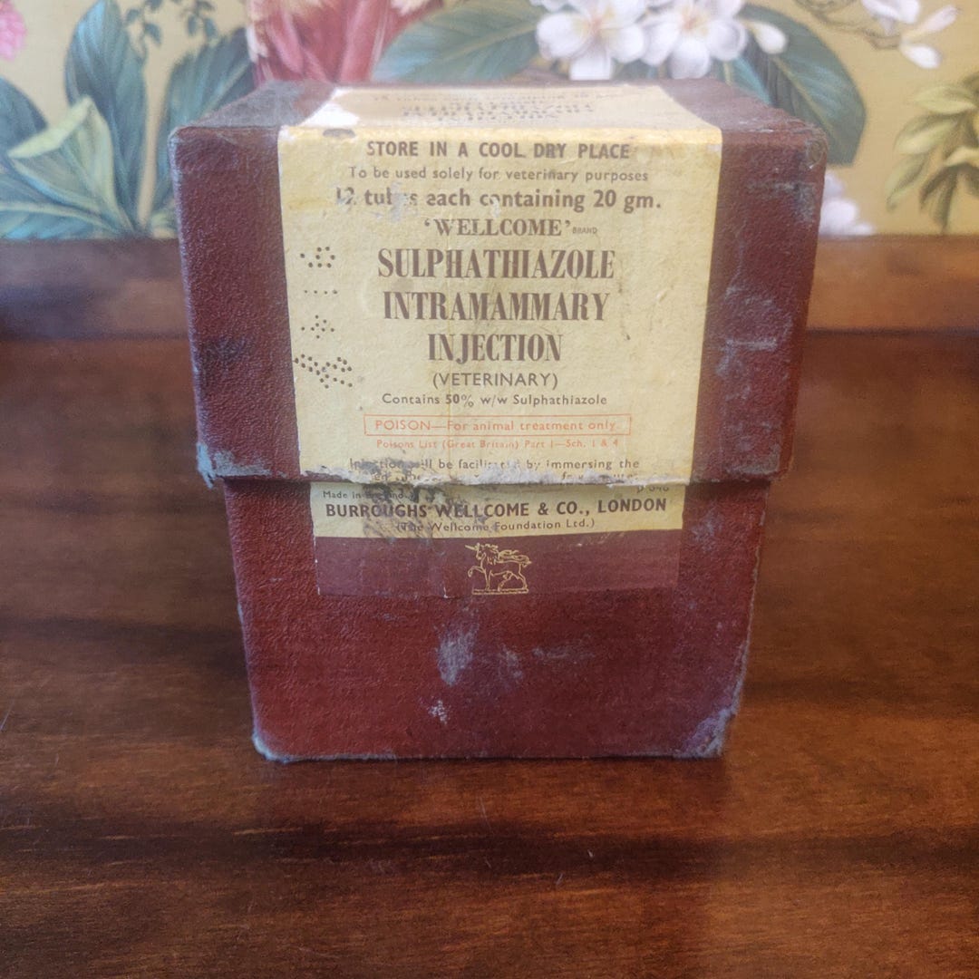 Antique Early 20th Century or Late 19th Century Veterinary ...