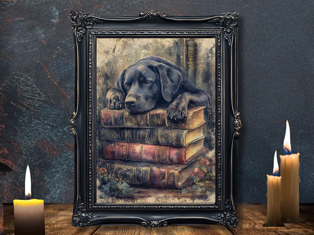 Vintage Black Labrador Wall Art, Antique Books and Black Lab Print ...
