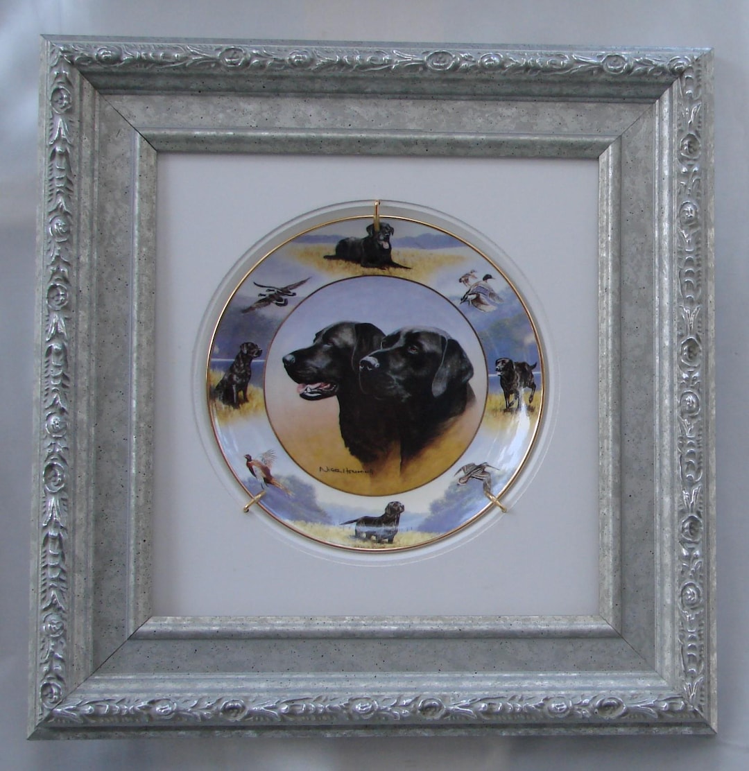 Collector Plate Frame "we Frame Plates Like Never Before" Fits Plates 5 ...