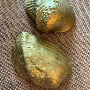 Decoupage Clam Shells Gold Floral Art Deco - Etsy