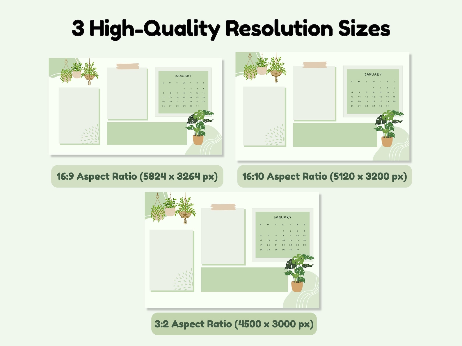 2025-2026 Desktop Wallpaper Organizer, Aesthetic Botanical Desktop ...