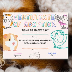 Guinea Pig Adoption Certificate | Guinea Pig Gift & Wall Art | Cavie ...