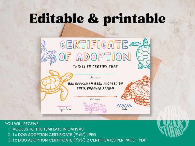Turtle Adoption Certificate | Turtle Gift & Wall Art | Turtle Birthday ...