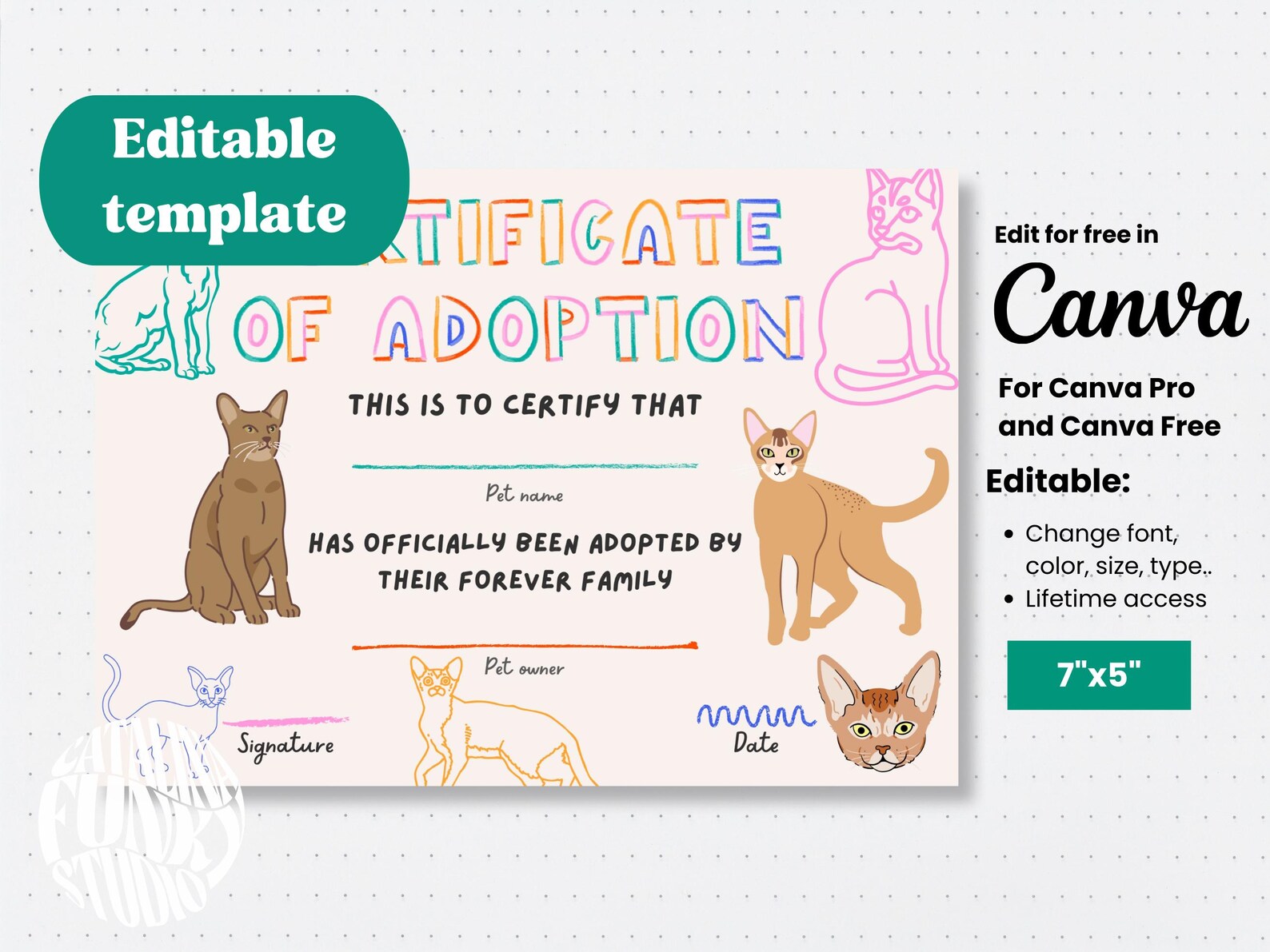 Abyssinian Cat Adoption Certificate: Editable Keepsake (PDF & JPG) - Etsy