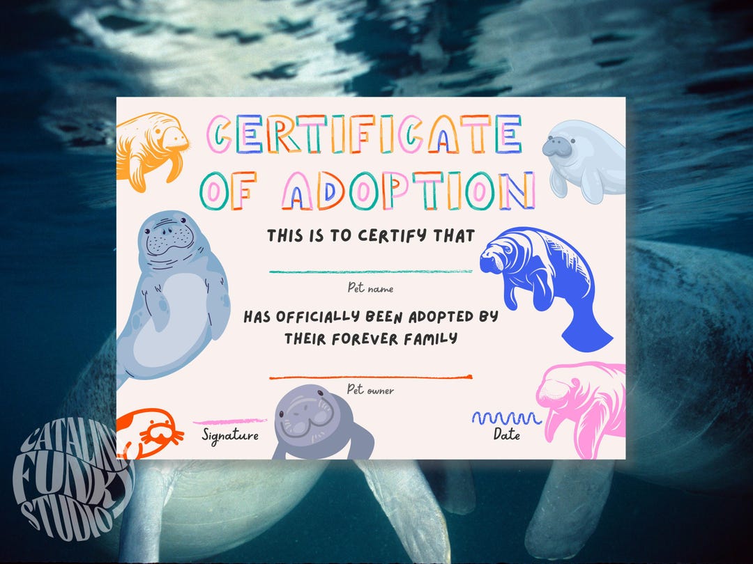Manatee Adoption Certificate | Plushie or Crochet Gift Tag | Editable ...