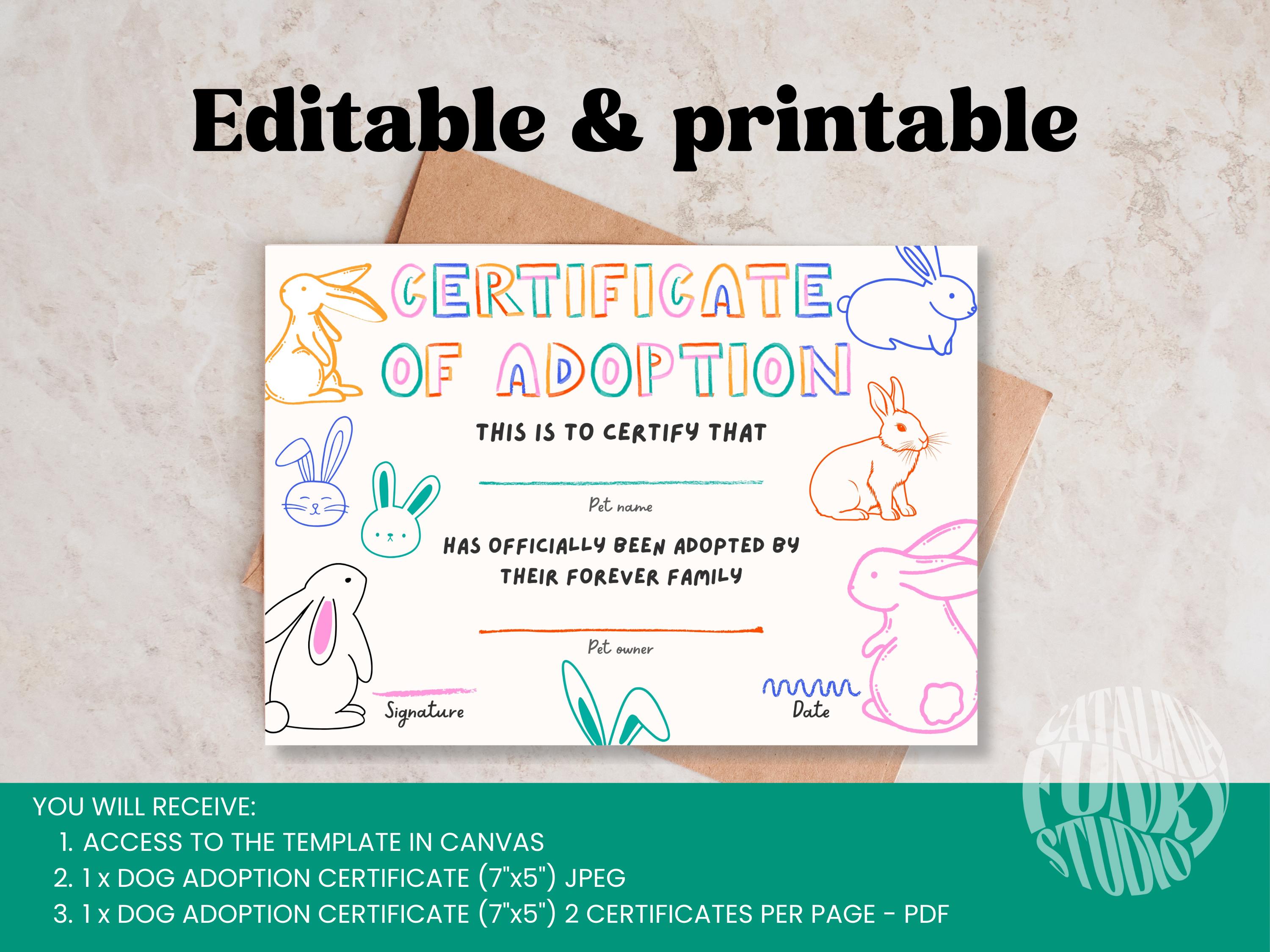 Editable Rabbit Adoption Certificate, Canva Template, (7"x5") Digital ...