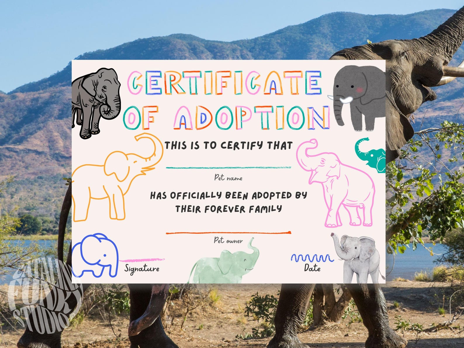 Elephant Adoption Certificate Canva Template | Instant Download 7x5 ...