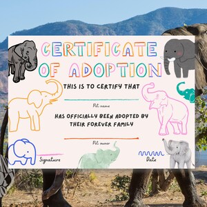 Elephant Adoption Certificate Canva Template | Instant Download 7x5 ...