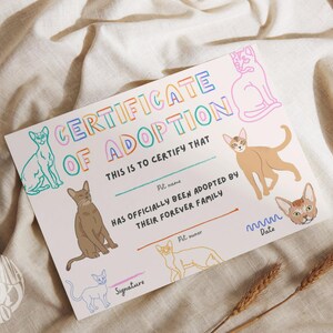 Abyssinian Cat Adoption Certificate: Editable Keepsake (PDF & JPG) - Etsy