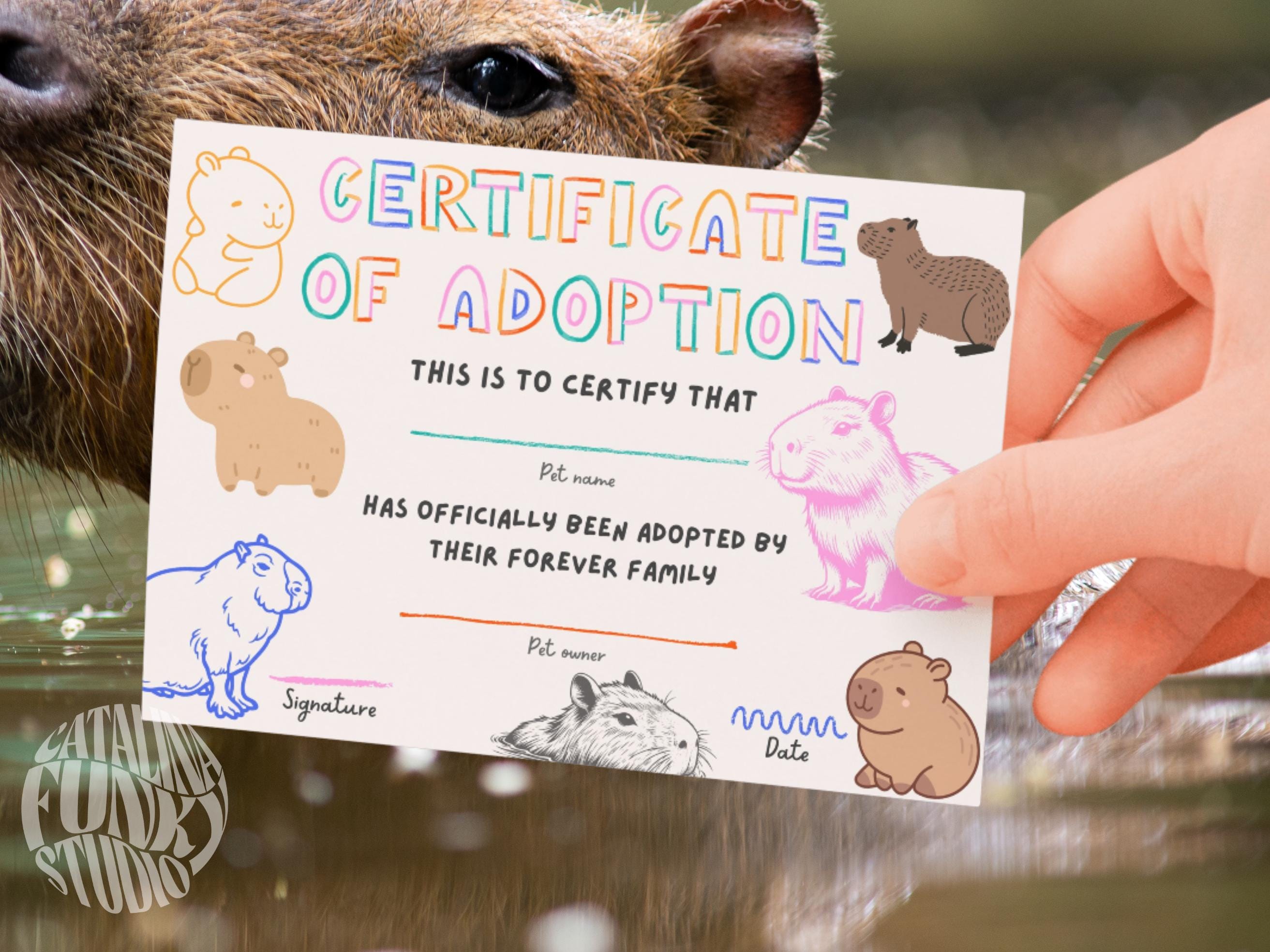 CAPIBARA Adoption Certificate | Capibara Birthday Gift & Wall Art | 7 ...